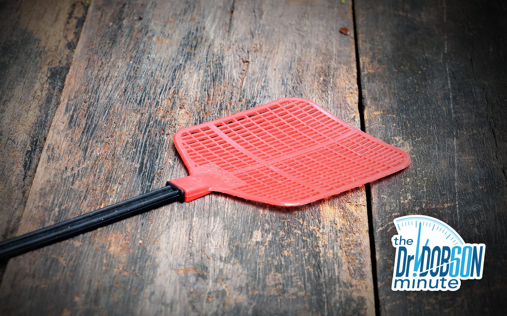 The Principle of the Fly Swatter - Dr. James Dobson Family Institute