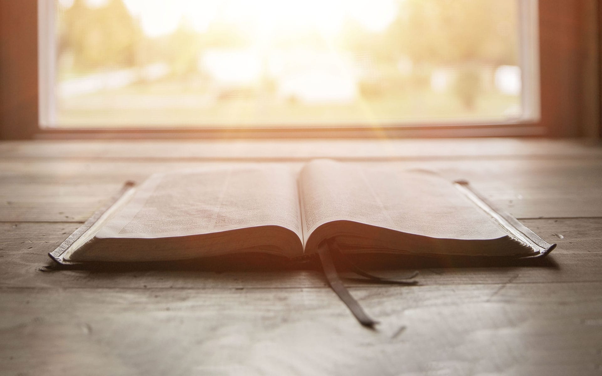 The Truth Changes Everything - Part 2 - Dr. James Dobson Family Institute